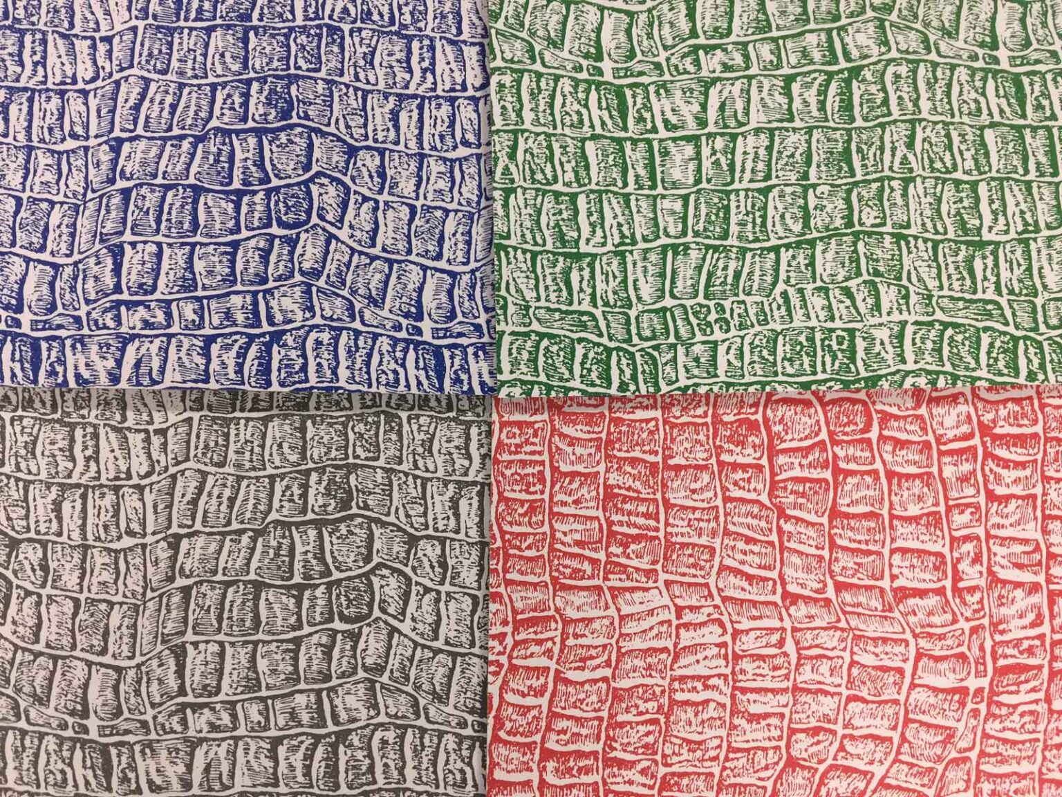 Crocodile Board Colours | Gowans & Son Printers